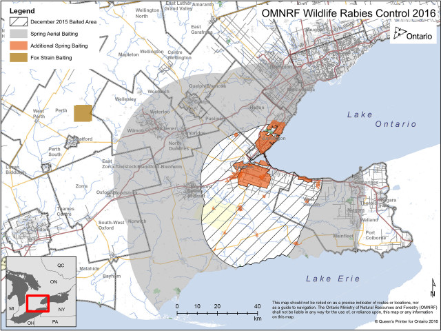 Ontario Raccoon Rabies Update | Worms & Germs Blog