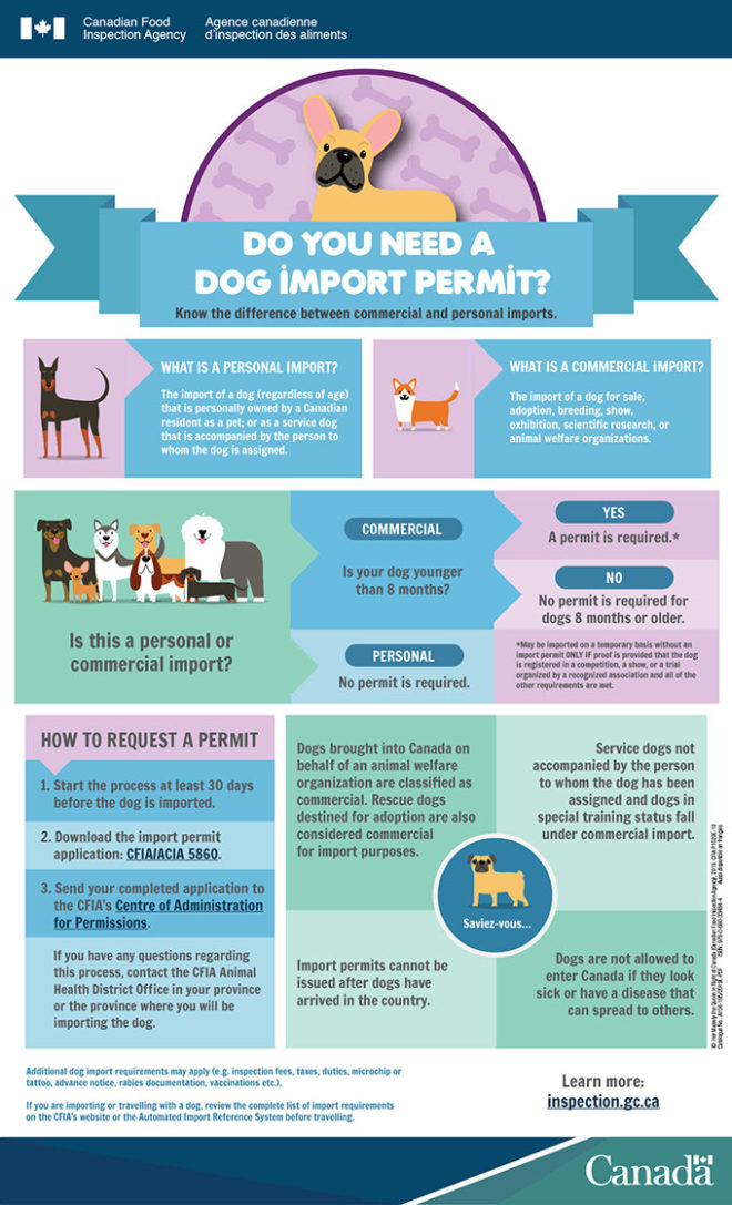 Canadian Canine Importation Restrictions: Ukraine | Worms & Germs Blog