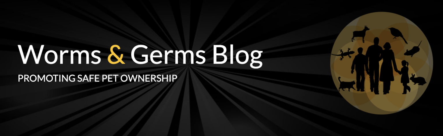 Cats and Clostridium (Clostridioides) difficile Infections in People ...